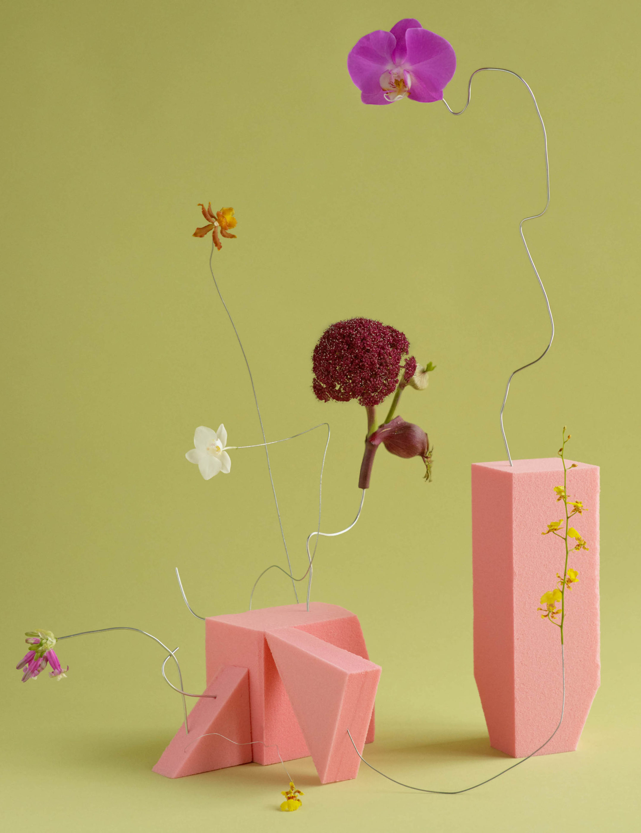 Rakes Palais | Adam Goodison Photography