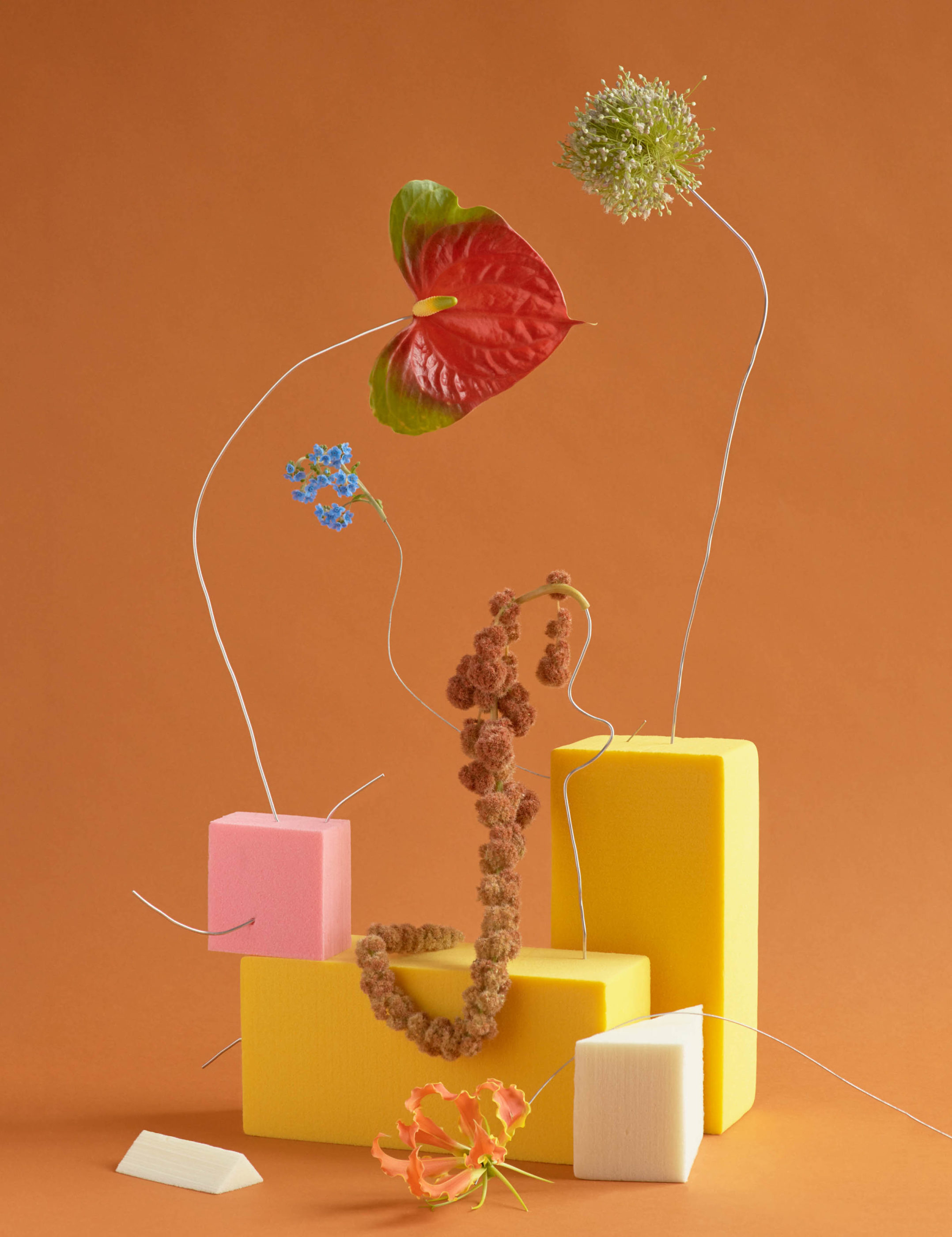 Rakes Palais | Adam Goodison Photography