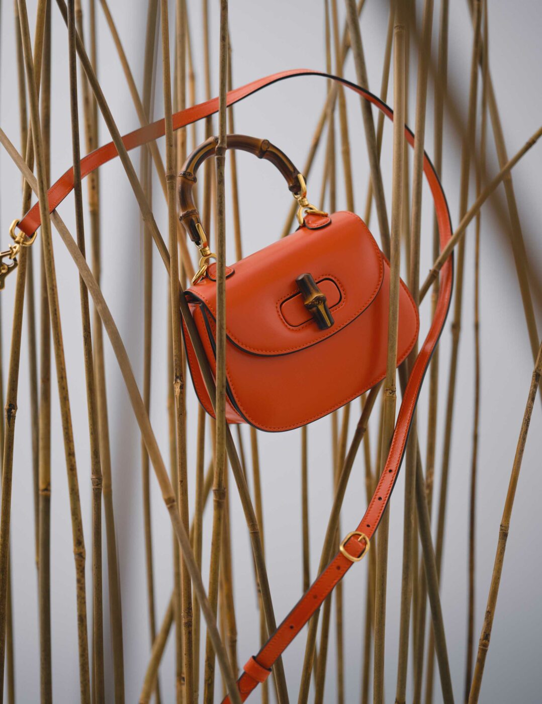 Tank Magazine | Adam Goodison Photography